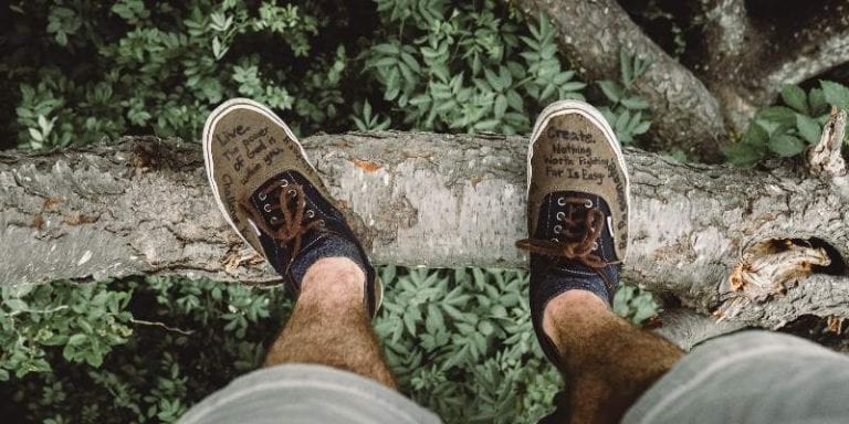 44 Most Unique Vans Shoes Ever Made